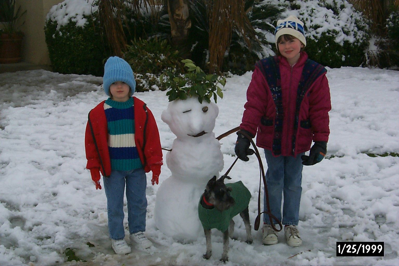 Snow